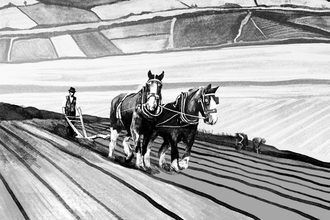 Ulster Banknotes - O Street