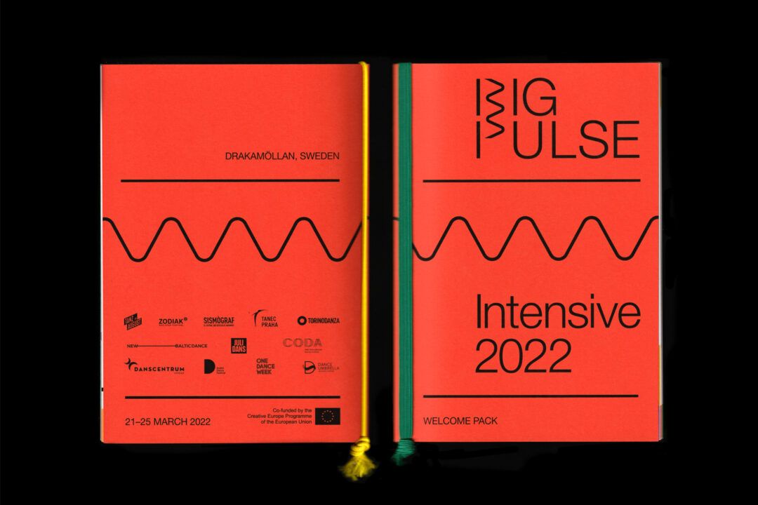 Big Pulse Dance Alliance - O Street