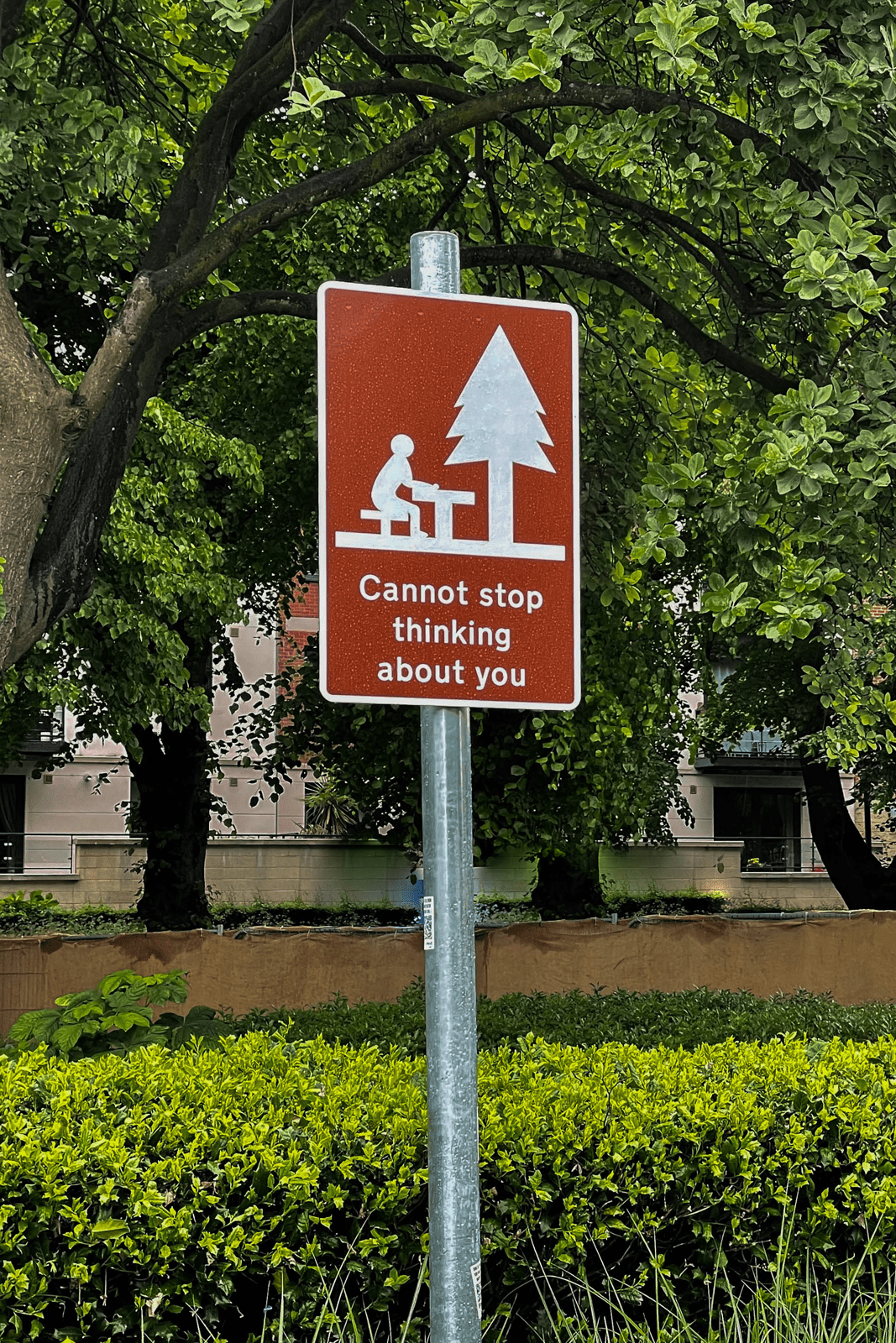 Signs on the Street - O Street