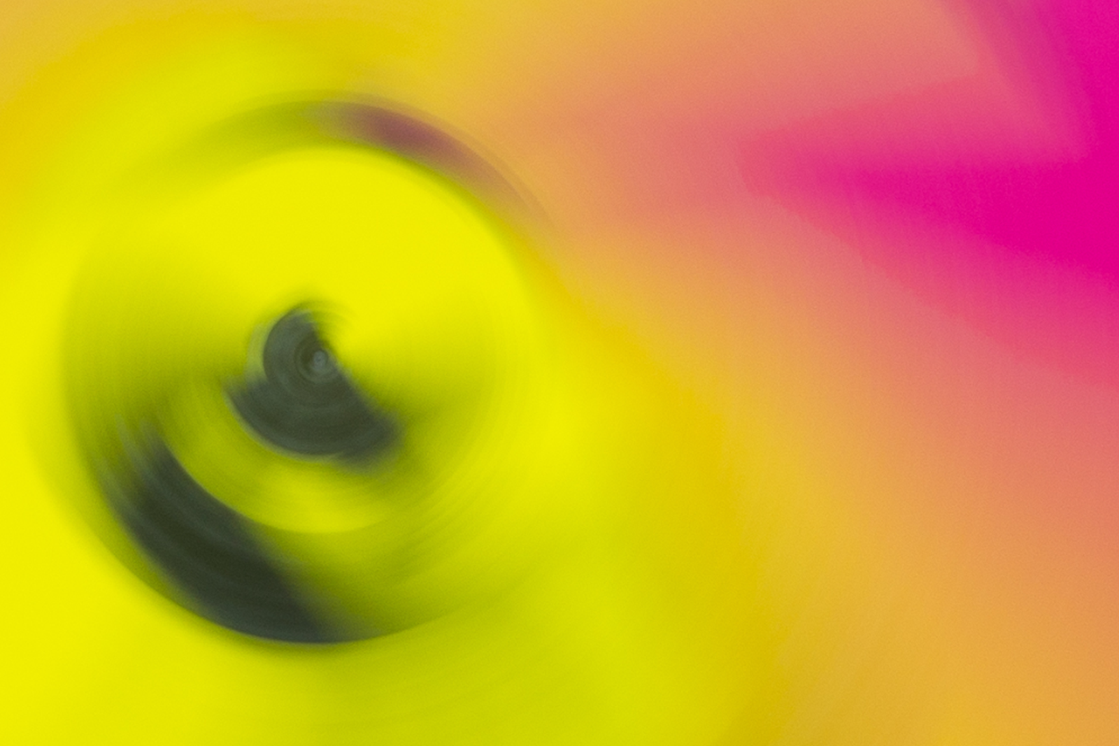 #10 Colour Countdown – Yellow and Pink - O Street